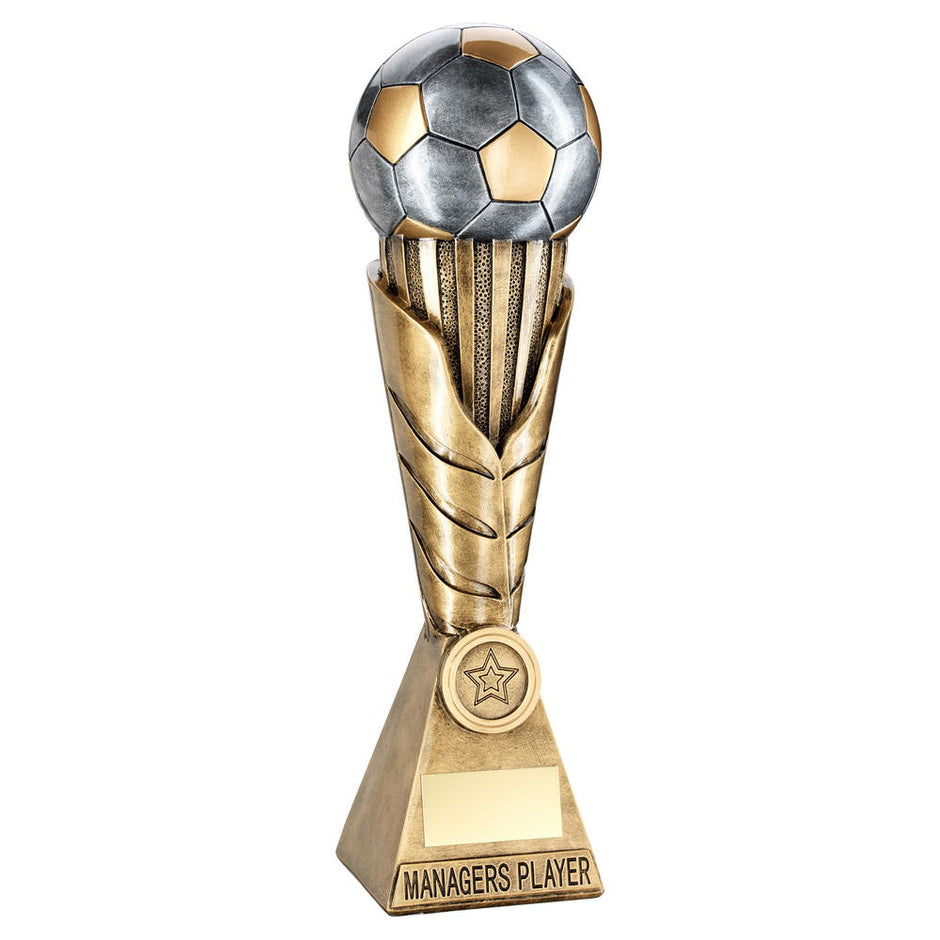 The World Cup Trophy: Design, History, Facts & Replicas – Gravesham ...